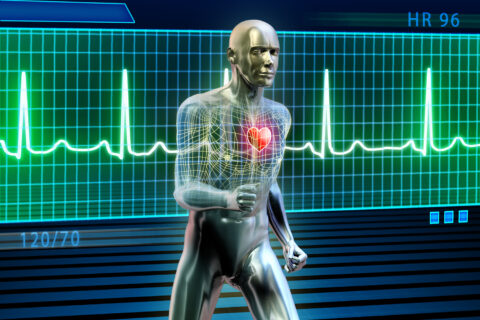 Why Your Cardiovascular Fitness Matters