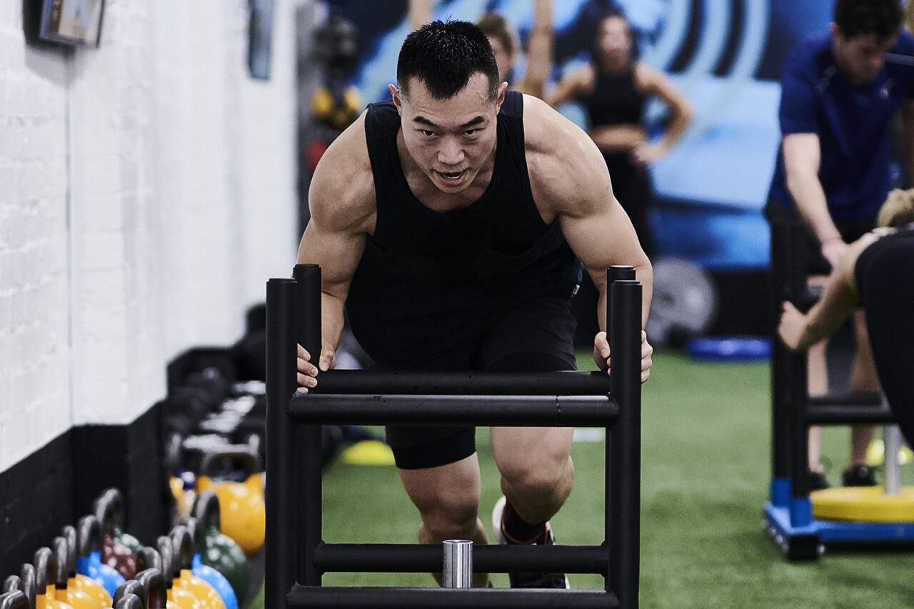 Why 8 Week Progressive Training Blocks Are Key For Results Without ...